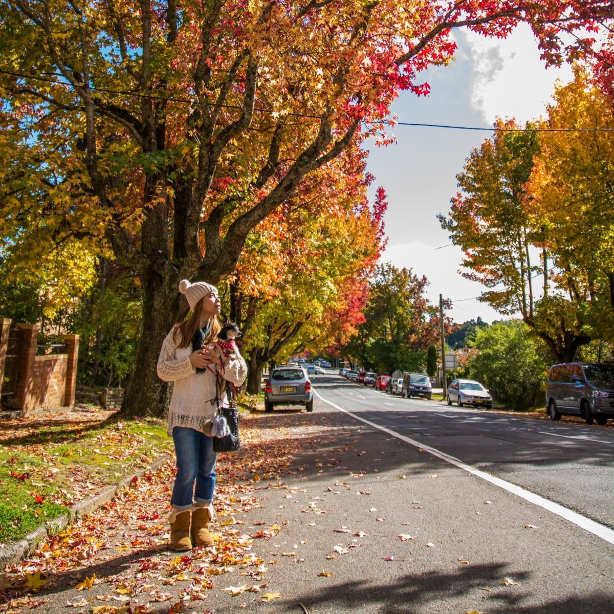 Spooky Season Shop offerings | Printed Mint