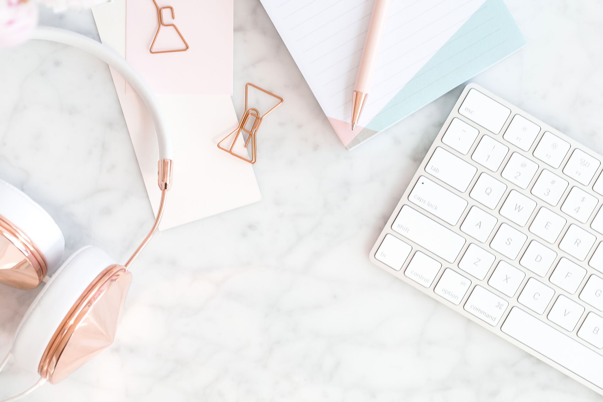 5 Things Every Website Should Have | Printed Mint